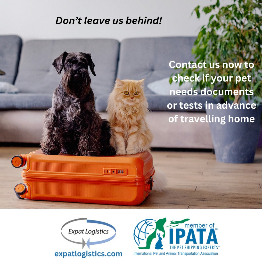 Don't leave us behind! – Bayt Al Aleefa Pet House بيت الاليفة للتجارة